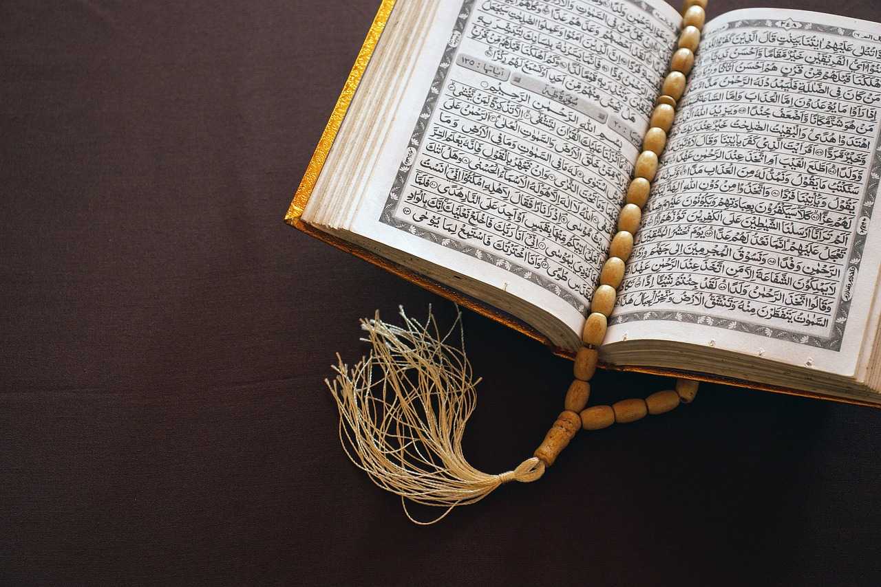 Denmark Prepares Bill To Stop Burning Quran | TimelineDaily
