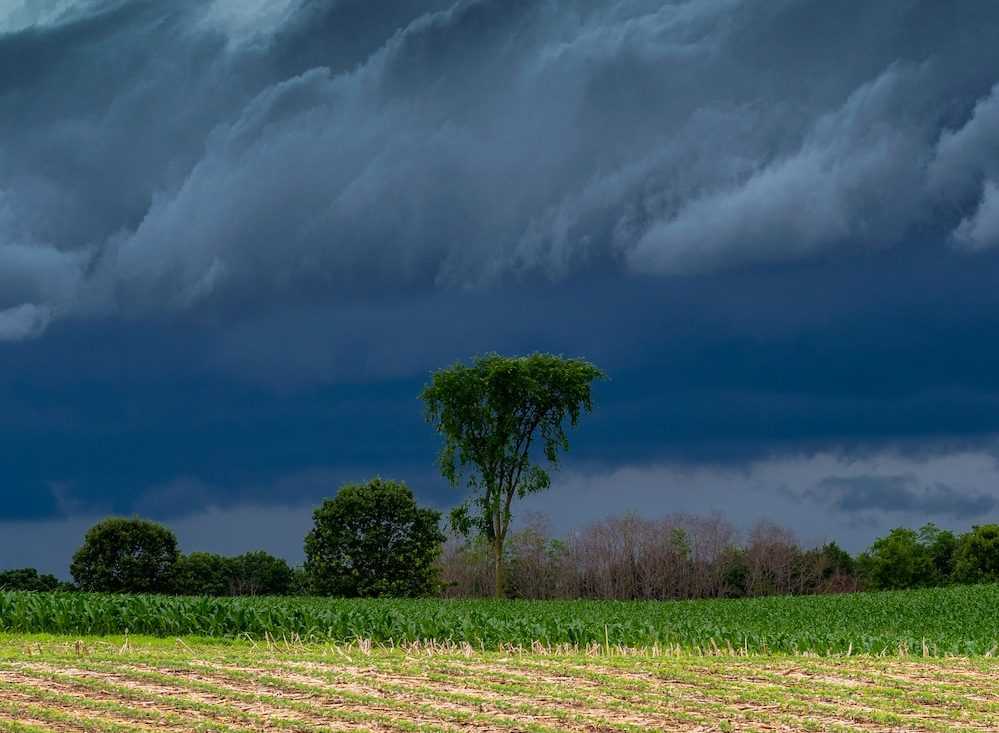 Monsoon’s Performance Could Affect The Rural Sector | TimelineDaily