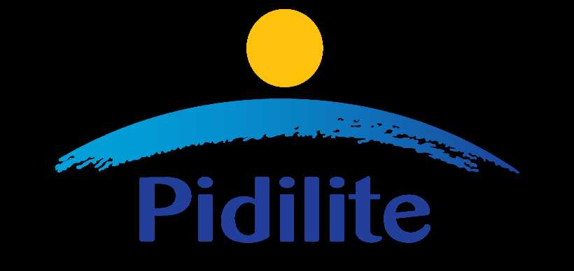 Pidilite to Venture into NBFC Business | TimelineDaily
