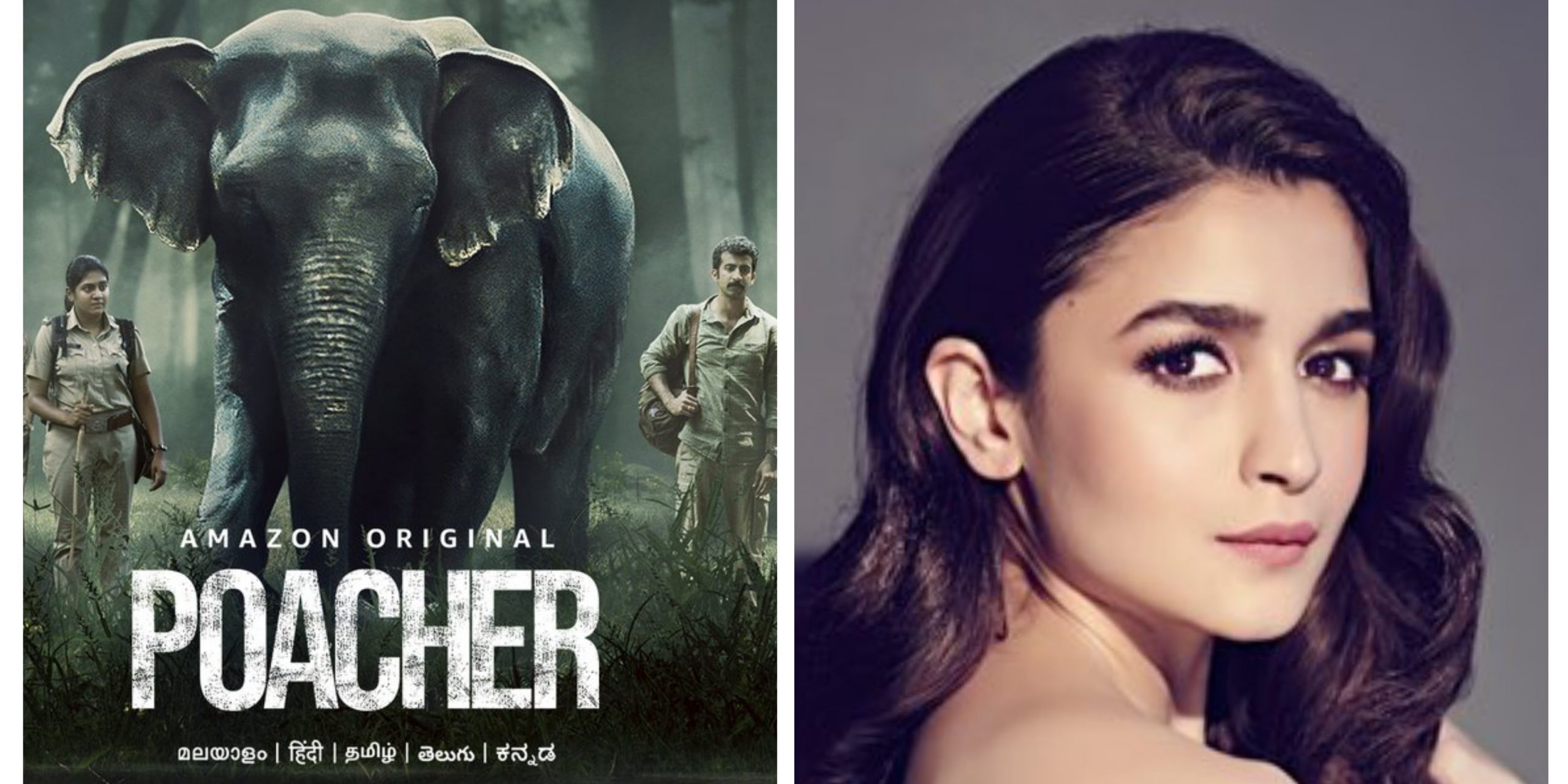 Alia Bhatt Joins Prime's Wildlife Crime Drama 'Poacher' As Executive ...