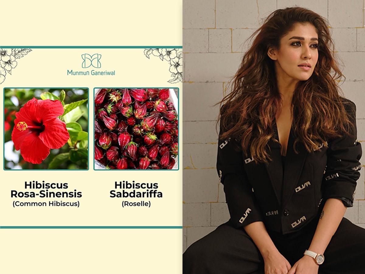 'Liver Doc' Calls Nayanthara 'Hopeless': What Is The Hibiscus Tea Debate | TimelineDaily