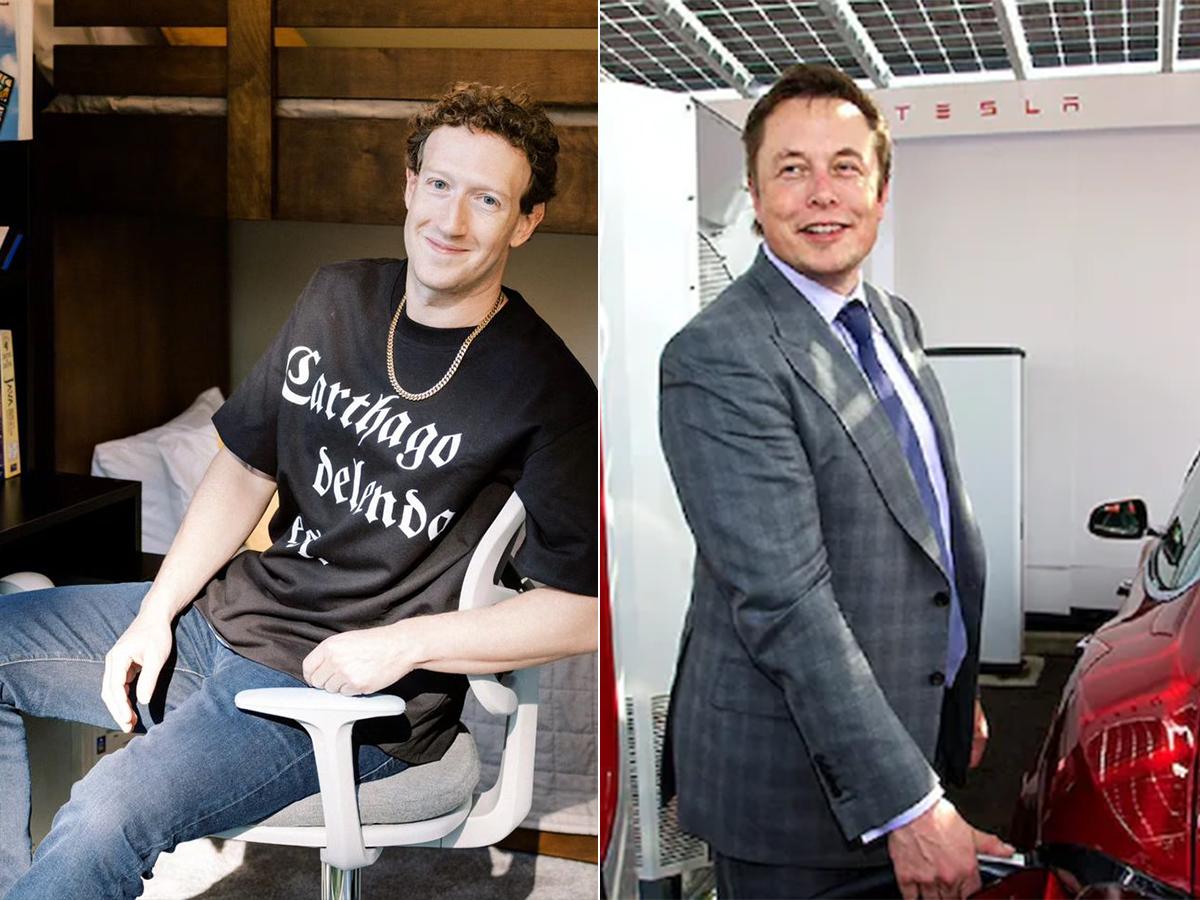Elon Musk VS Mark Zuckerberg: A Cage Match Ahead? | TimelineDaily