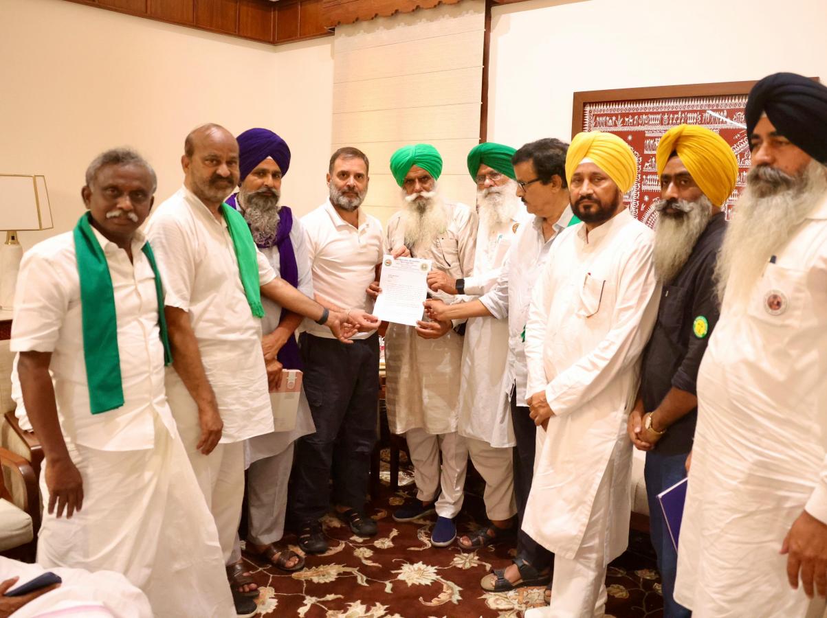 Farmers’ Leaders Meet Rahul Gandhi; He Assures To Press For MSP Legal Guarantee | TimelineDaily