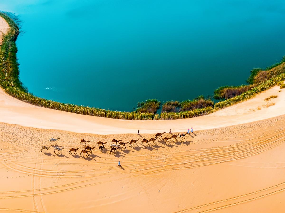 The Golden Dunes Of Al-Asfar Lake: Saudi Arabia's Treasure | TimelineDaily