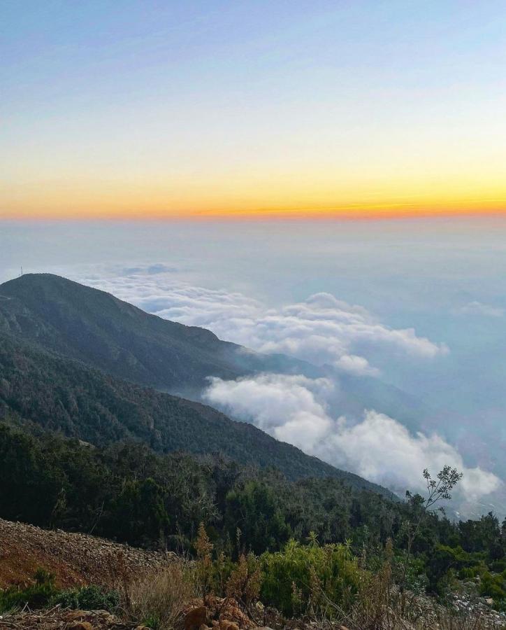 Soudah: Saudi Arabia's Scenic Solace From Scorching Heat | TimelineDaily