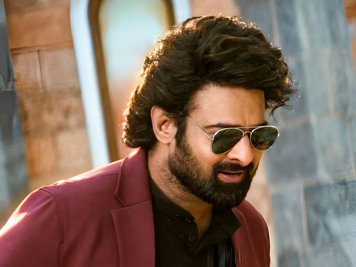 Actor Prabhas Donates Rs 2 Crore To Wayanad Landslide Relief Fund ...