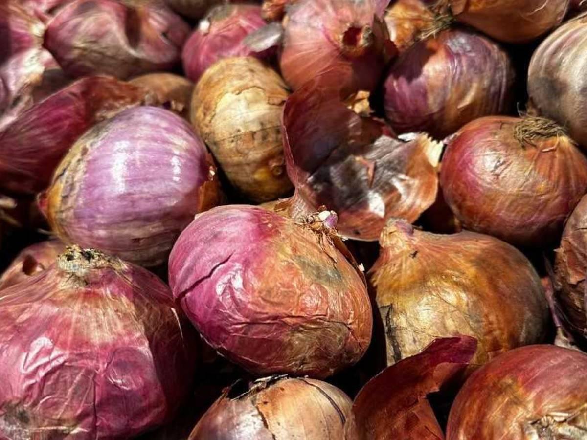 Govt Selling Onions At Rs 35/kg In Delhi, Mumbai Amid Price Surge ...