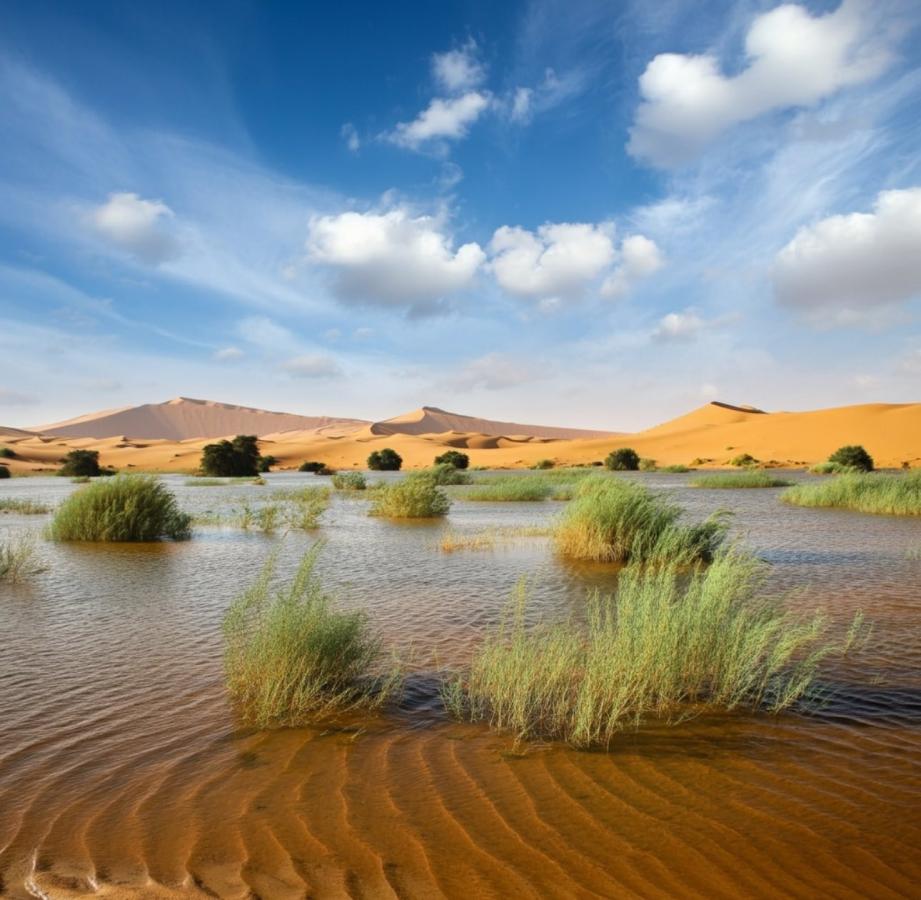 Sahara Desert Sees Rare Rainfall After 50 Years: Here's Why | TimelineDaily