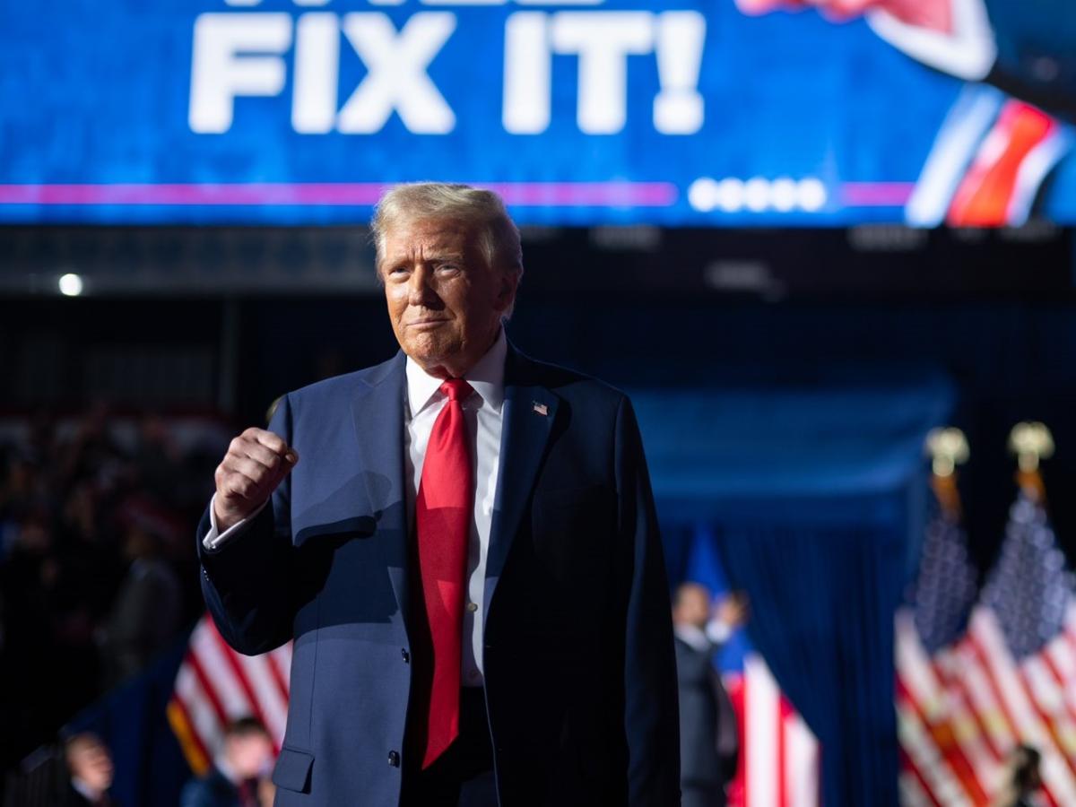 Video: How Donald Trump Won The Elections? | TimelineDaily