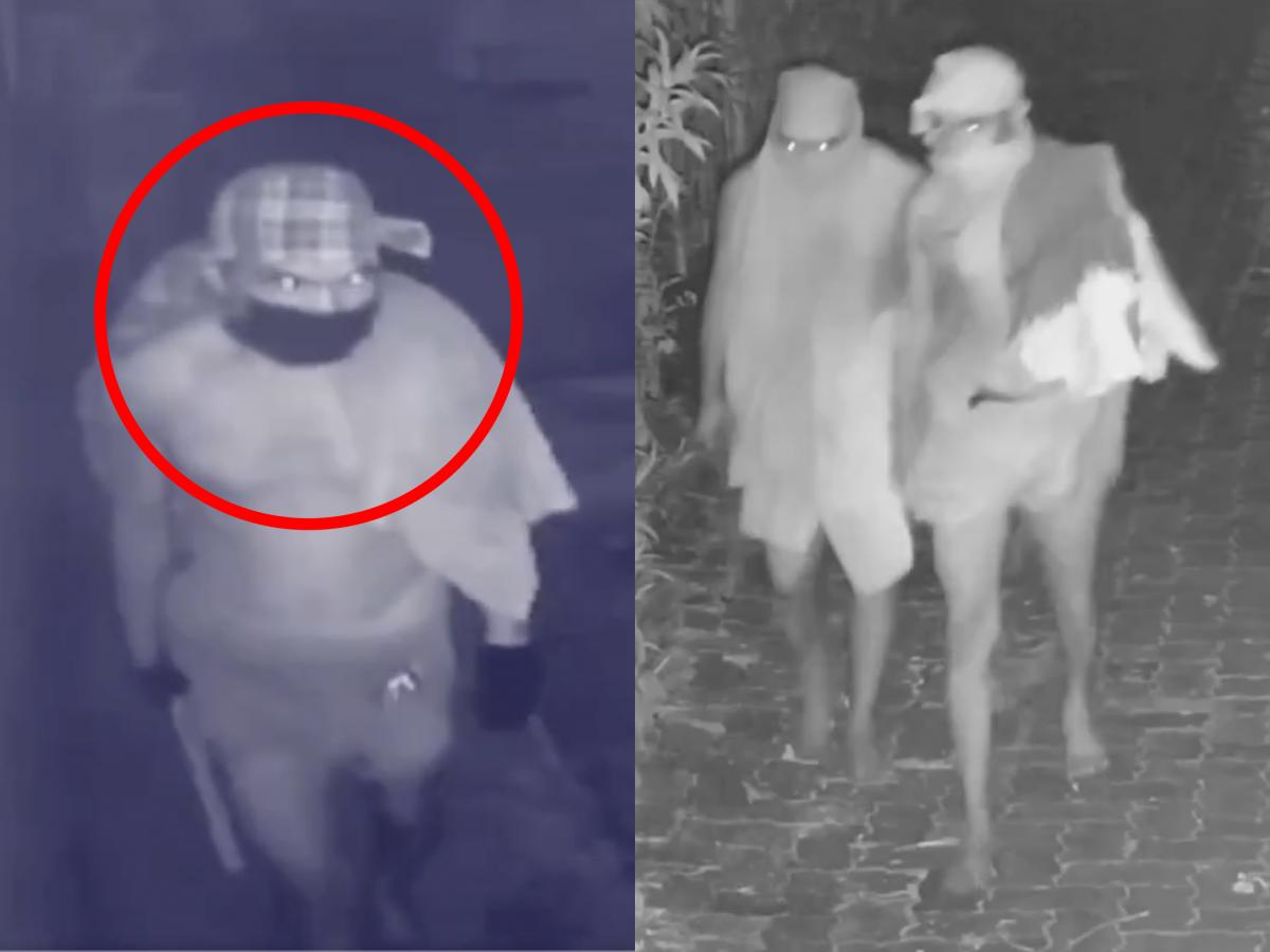 What Is The Kuruva Gang, The Notorious Tamil Nadu-Based Robbers ...