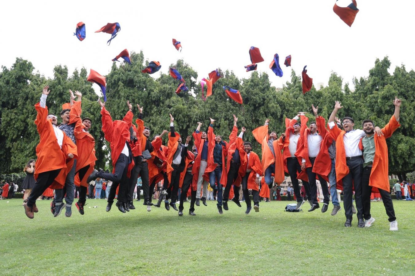 IIT Delhi Students Are Opting Diverse Career Paths, Shows the ...