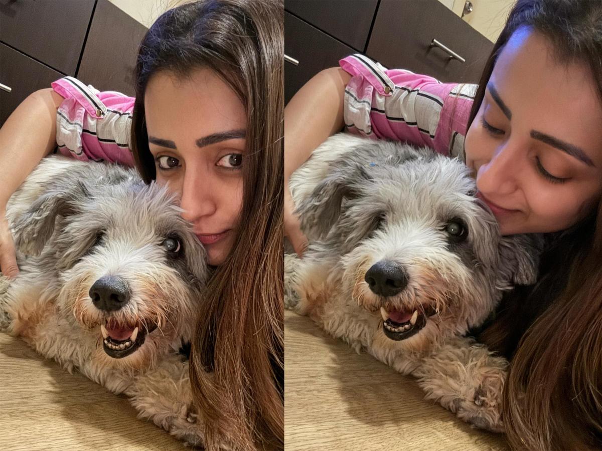 “My Life Has Zero Meaning Henceforth”: Trisha On Her Dog Zorro's Death ...