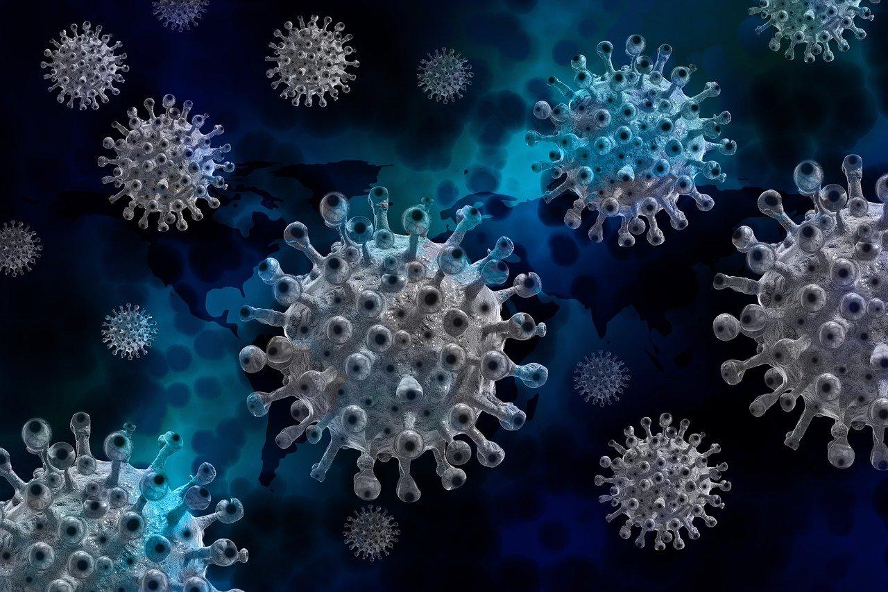 Shigella Outbreak In Kerala: 12 Educational Institutions Closed In ...