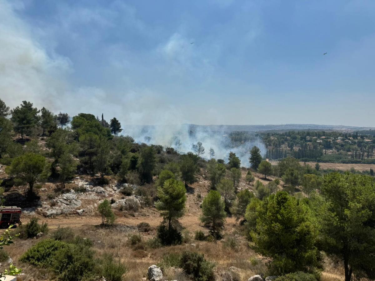 Israel’s 'Green Colonialism' That Led To Massive Forest Fire ...