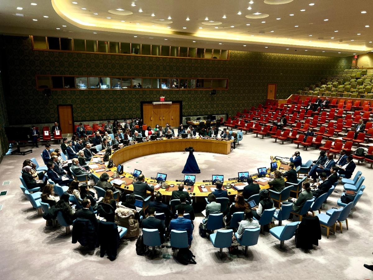 Criticism Erupts As UN Appoints Pakistan Vice Chair Of Security Council ...