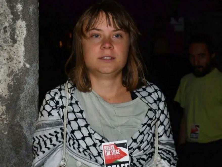 Greta Thunberg 'Dragged, Forced To Kiss Israel Flag': Activists Allege ...
